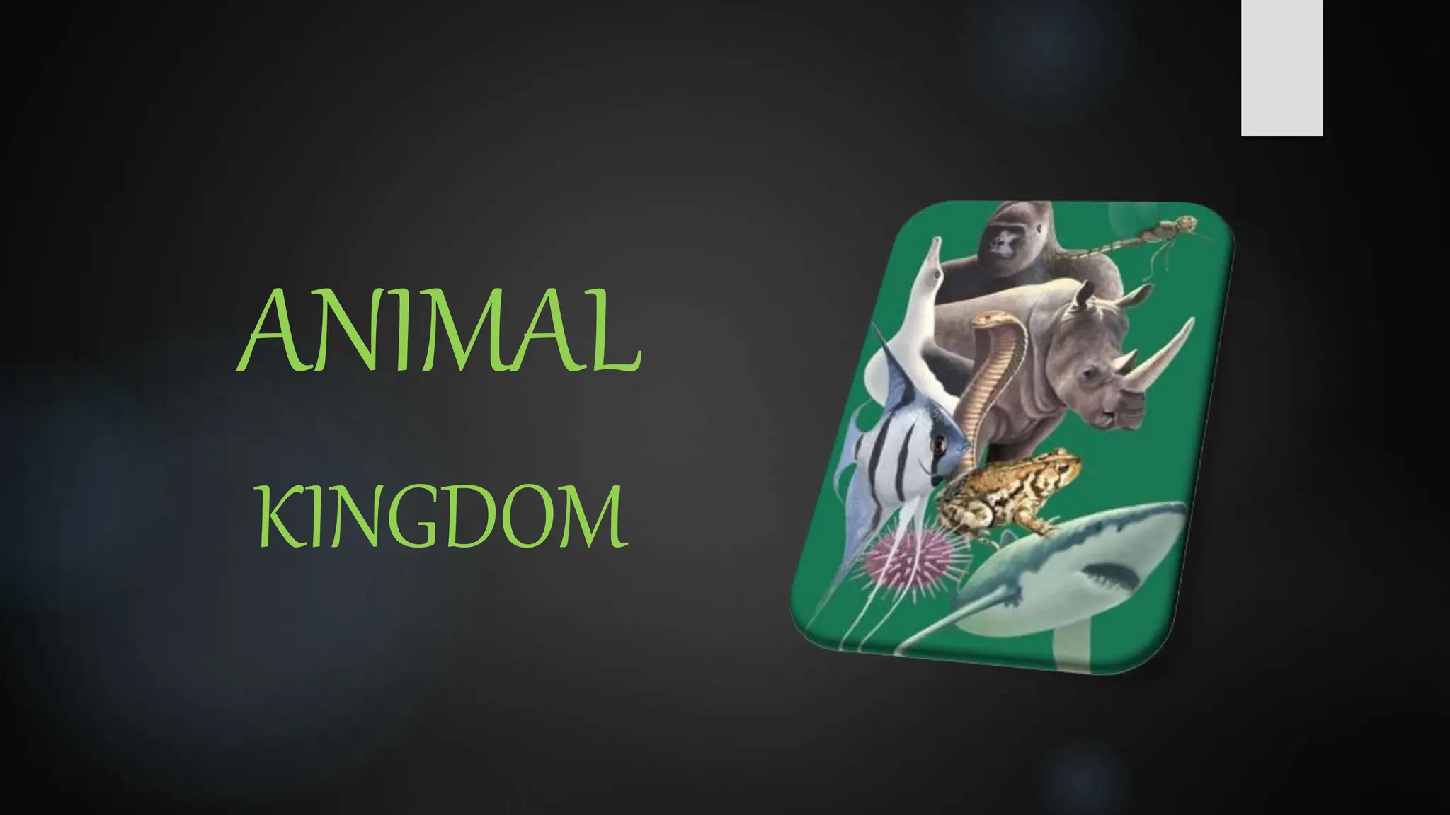 Animal-Kingdom pptx for all grades and age | PPTX