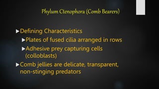 Animal-Kingdom pptx for all grades and age | PPTX