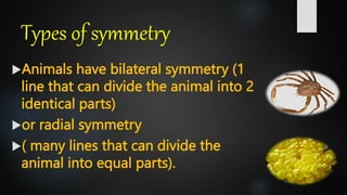 Animal-Kingdom pptx for all grades and age | PPTX