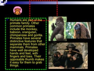 Animal kingdomasisixb-1218460538141865-9 | PPT