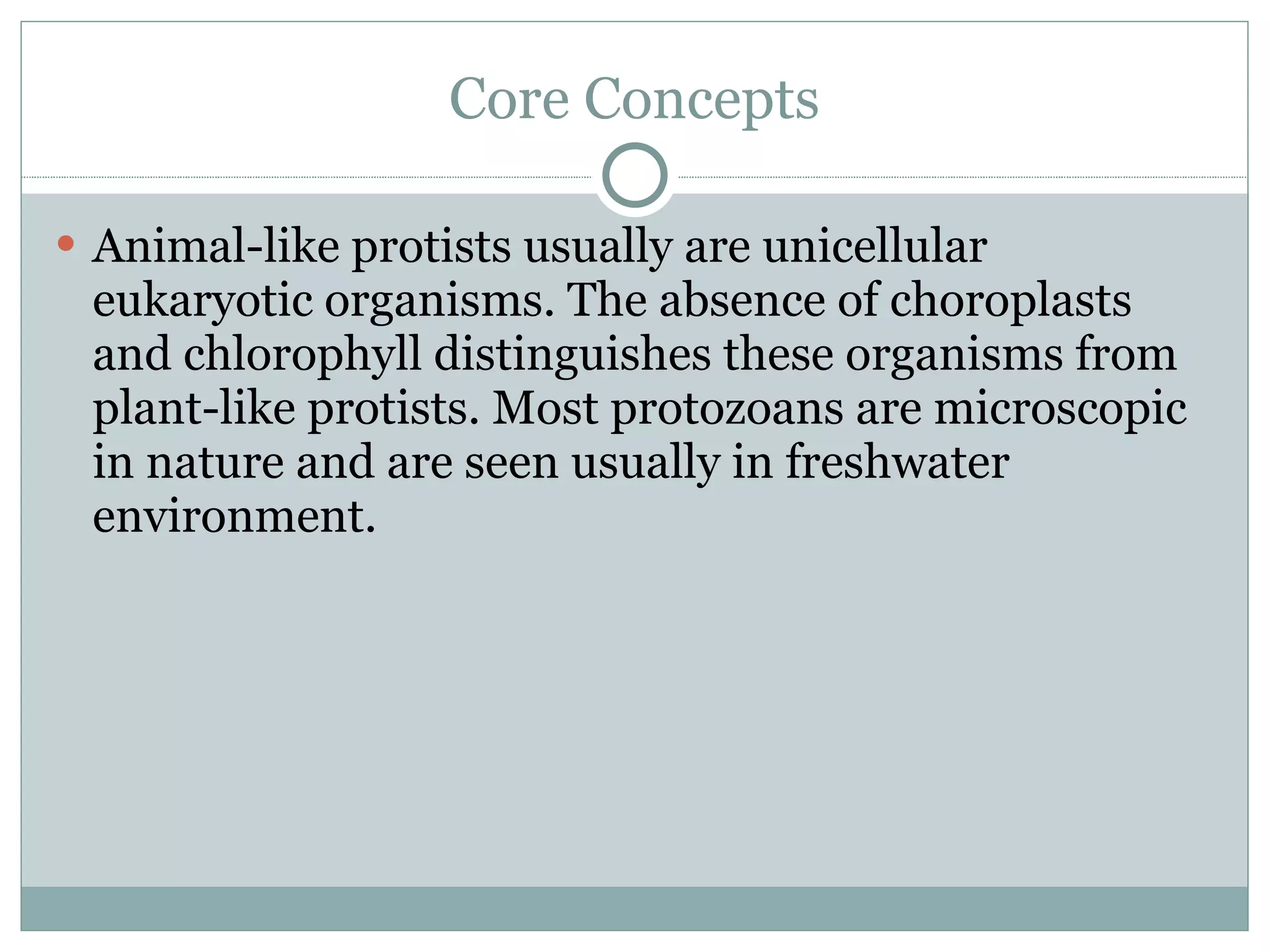 Animal like protists | PPT