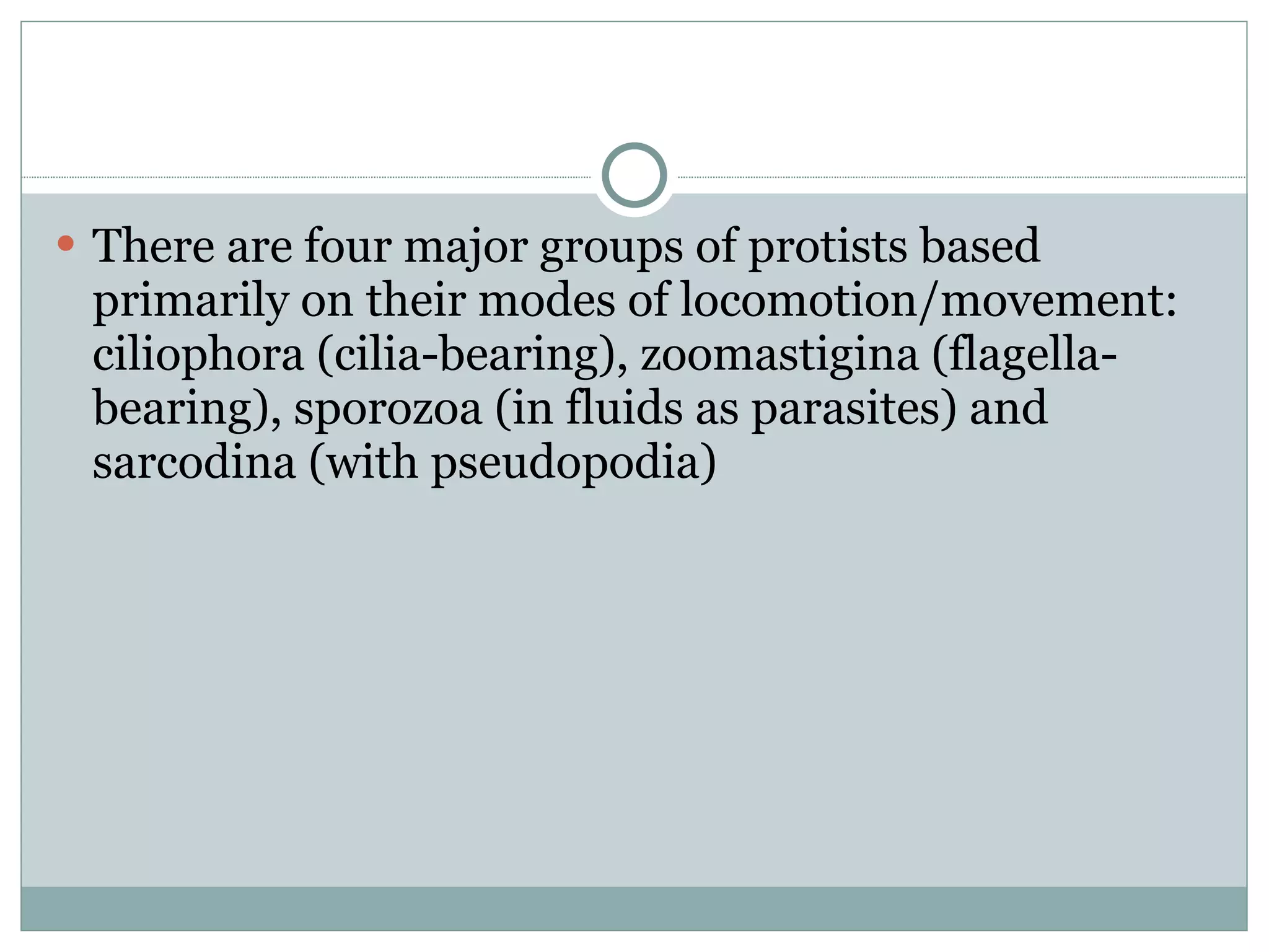 Animal like protists | PPT