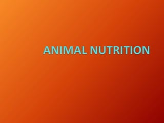ANIMAL-NUTRITION.pptx