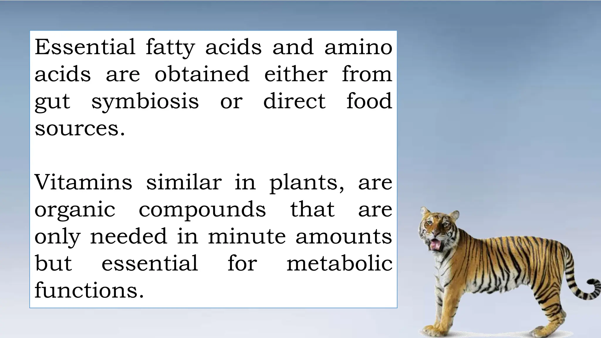 ANIMAL-NUTRITION POWERPOINT GRADE 12 GEN BIO 2 | PPTX