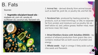 Basic guide to ANIMAL-NUTRITION and relation to digestive system | PPTX
