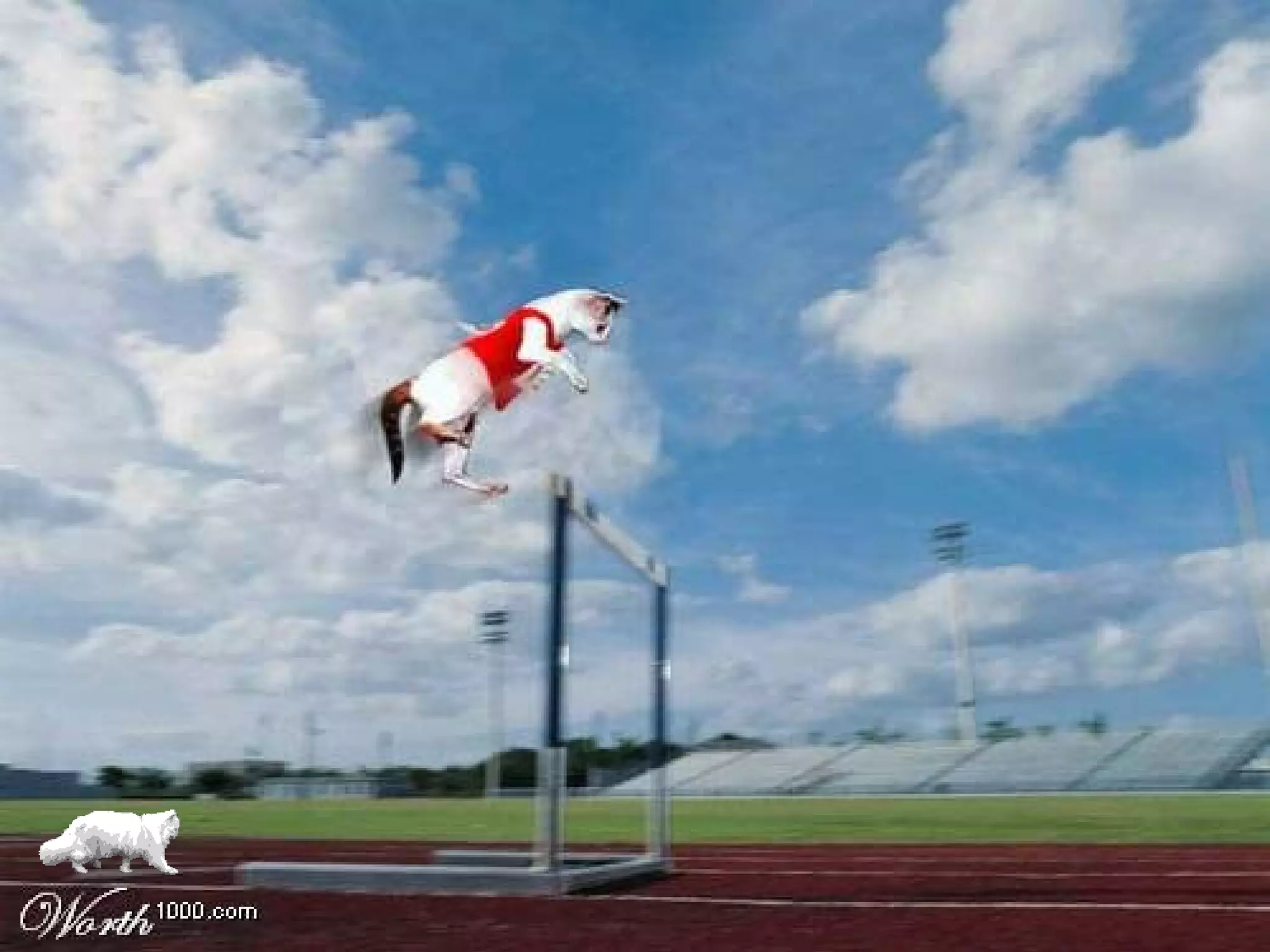 Animal Olympics 01 | PPS