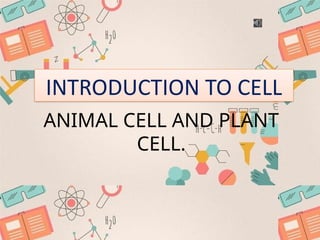 animal-plant and plant cell detailed information | PPTX