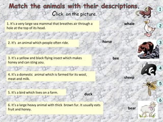 Animal presentation | PPT