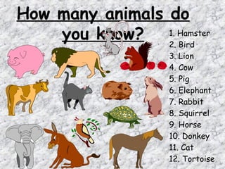 Animal presentation | PPT