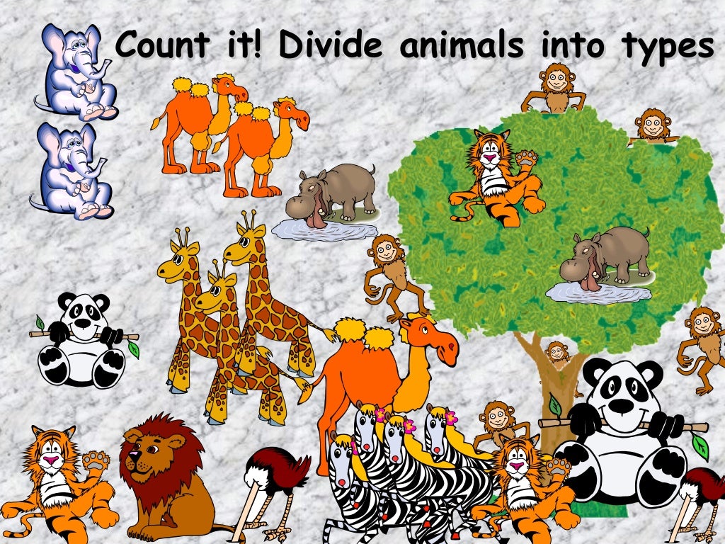 Animal Presentation animal-presentation