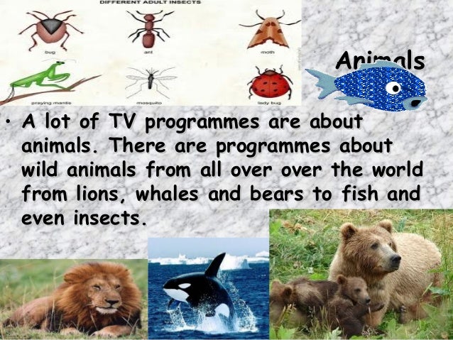 Animal Presentation Animal Presentation