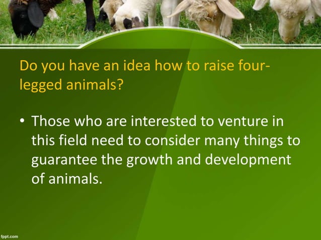 animal-raising.pptx | Agriculture | Industries