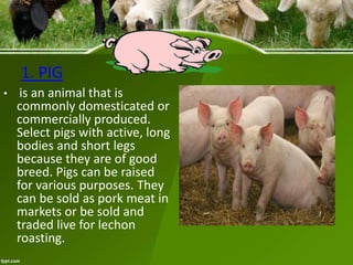 animal-raising.pptx