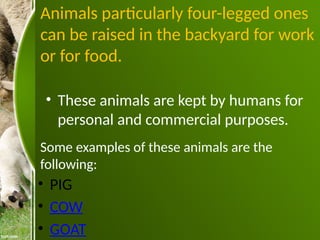 animal-raising.................................. | PPTX