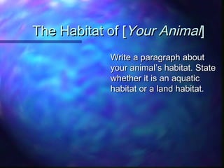 Animal report template | PPT