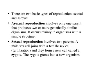 Animal Reproduction | PPT