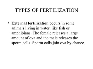 Animal Reproduction | PPT