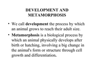Animal Reproduction | PPT