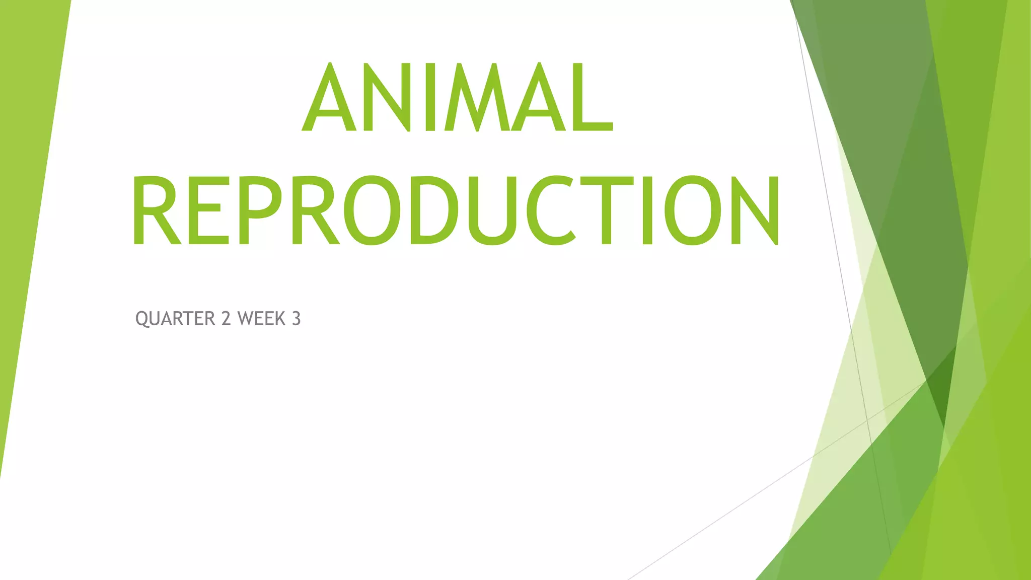 ANIMAL-REPRODUCTION.pptx