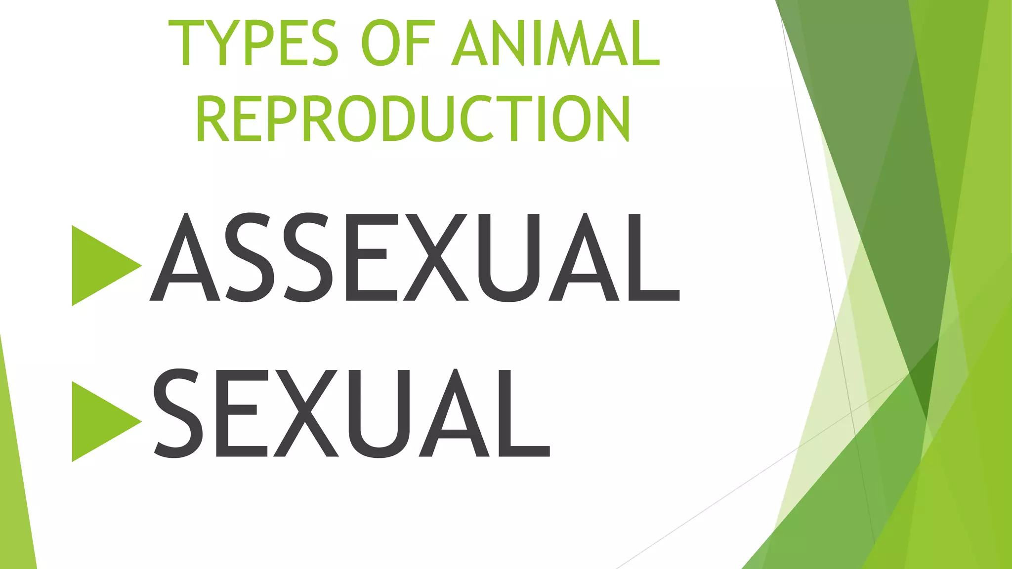 ANIMAL-REPRODUCTION.pptx