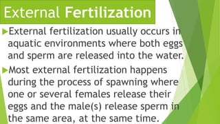 ANIMAL-REPRODUCTION.pptx