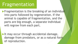 ANIMAL-REPRODUCTION.pptx