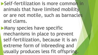 ANIMAL-REPRODUCTION.pptx