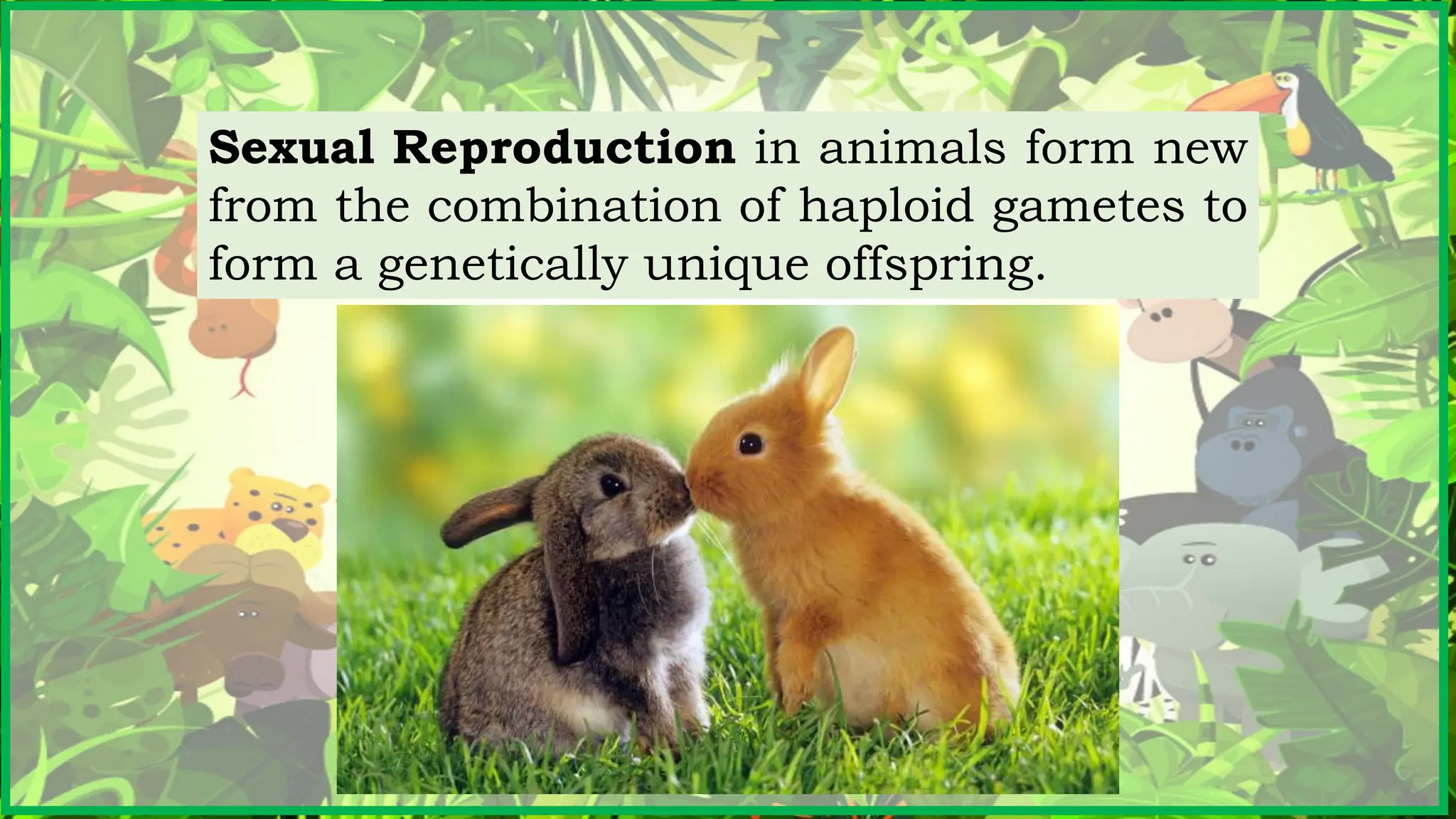 Animal-reproduction.powerpoint GEN BIO 2 | PPTX
