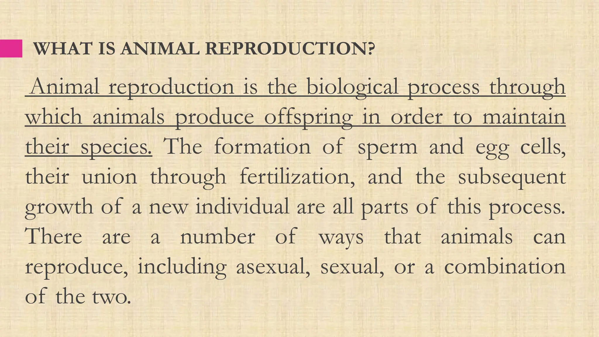 Animal-Reproduction and each type and functionpptx | PPT