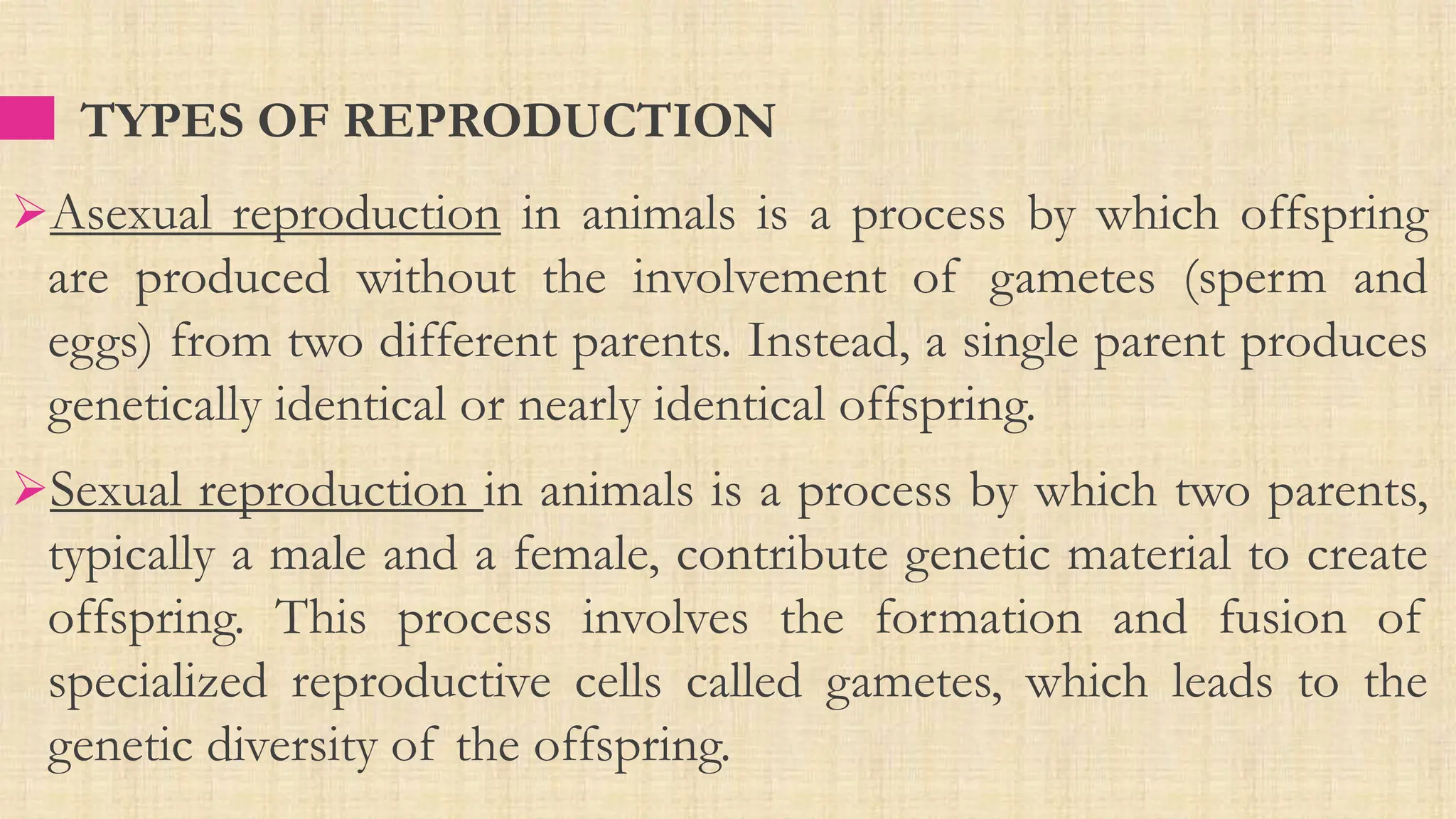 Animal-Reproduction and each type and functionpptx | PPT