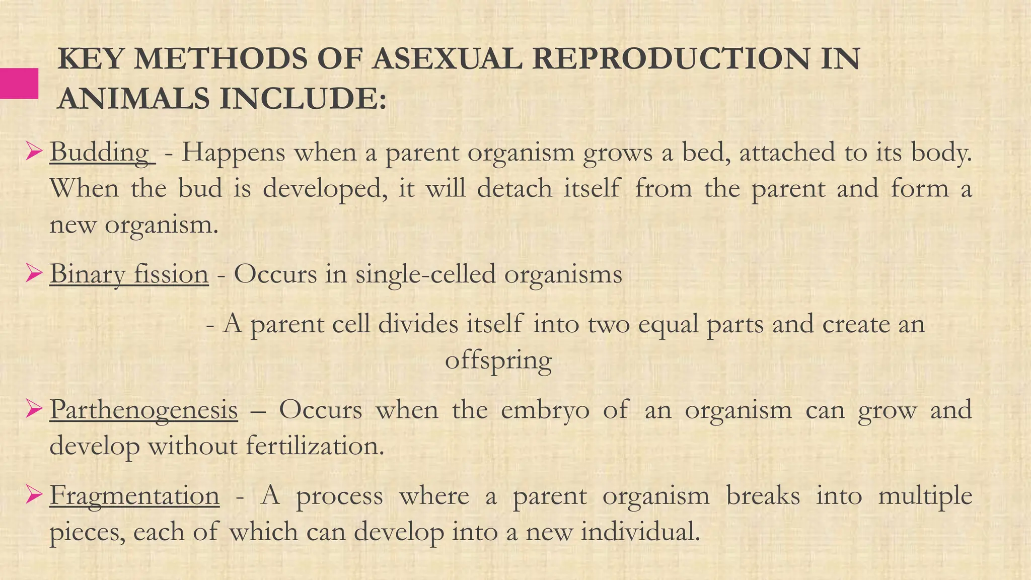 Animal-Reproduction and each type and functionpptx | PPTX
