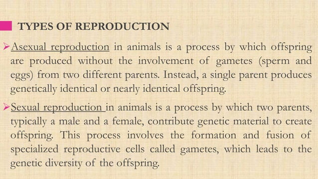 Animal-Reproduction and each type and functionpptx | PPT