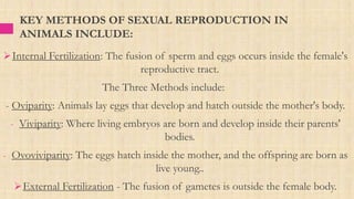 Animal-Reproduction and each type and functionpptx | PPT