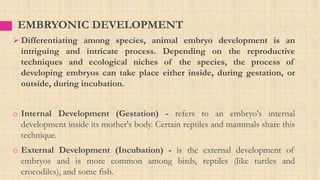 Animal-Reproduction and each type and functionpptx | PPT