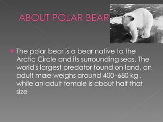 Animal Research | PPT