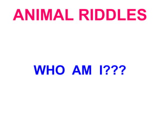 animal-riddles-flashcards for kids and children | PPTX