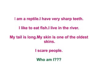 animal-riddles-flashcards for kids and children | PPTX