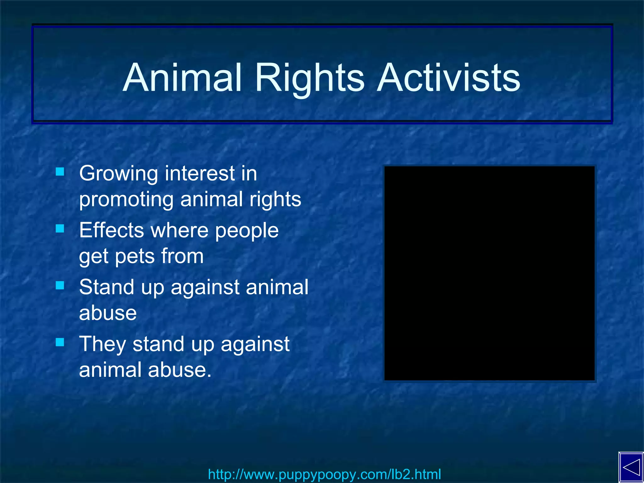 Animal Rights | PPT