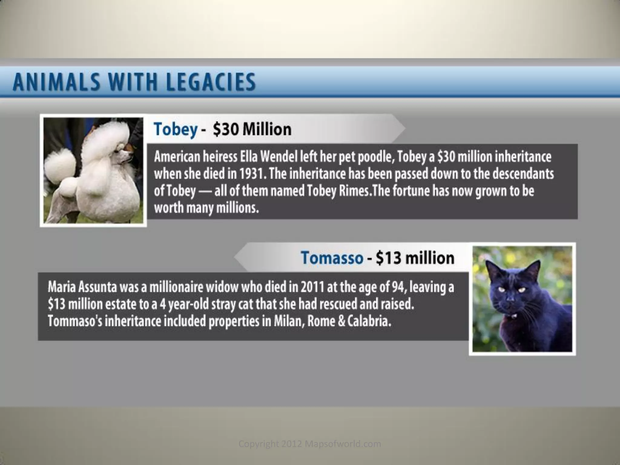 Should Animals Have Rights? - Facts, Stats & Infographic | PDF