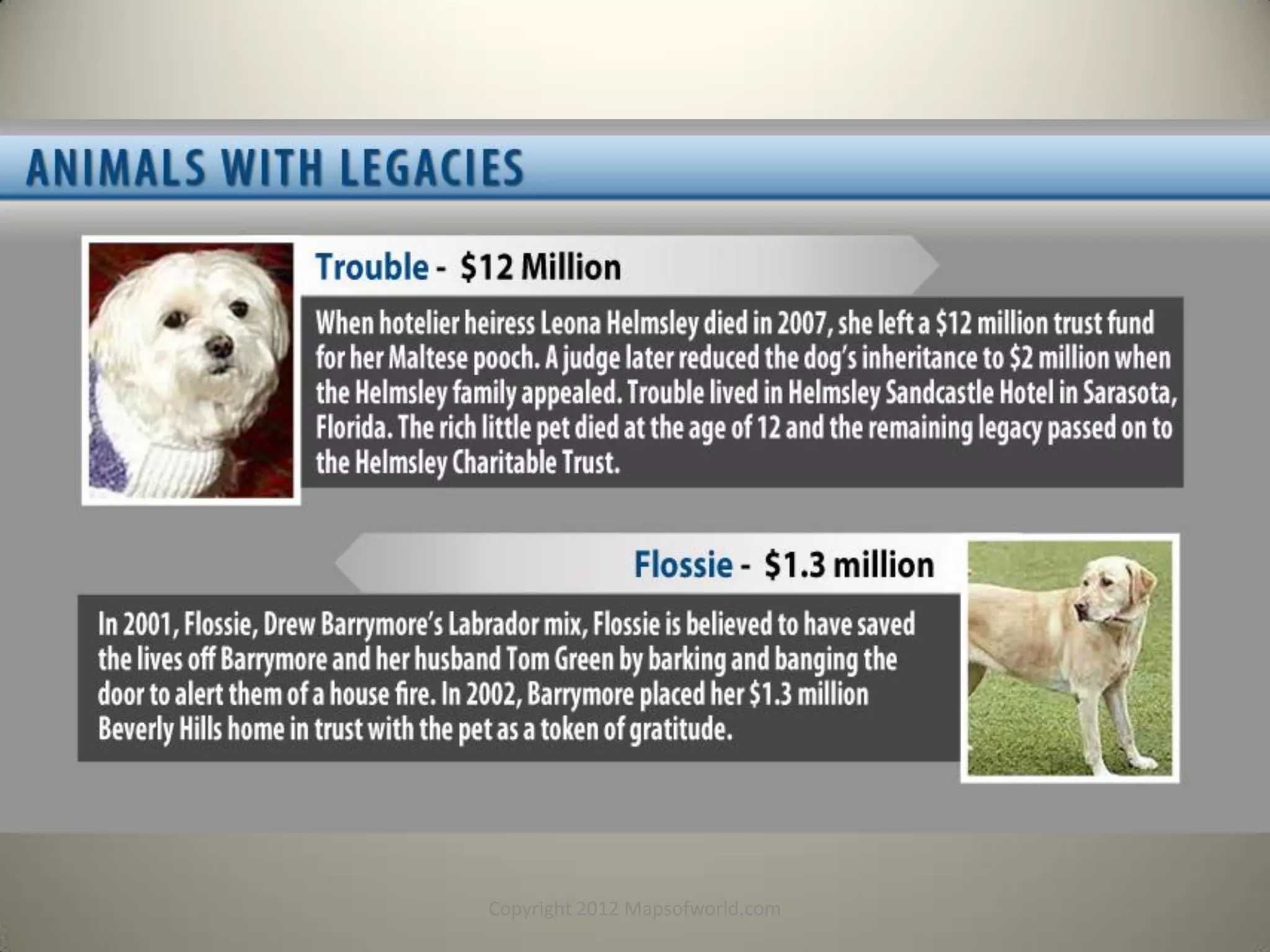 Should Animals Have Rights? - Facts, Stats & Infographic | PDF