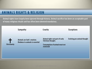 Should Animals Have Rights? - Facts, Stats & Infographic | PPT