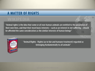 Should Animals Have Rights? - Facts, Stats & Infographic | PDF