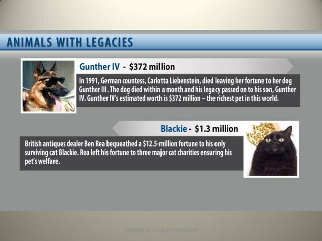 Should Animals Have Rights? - Facts, Stats & Infographic | PDF