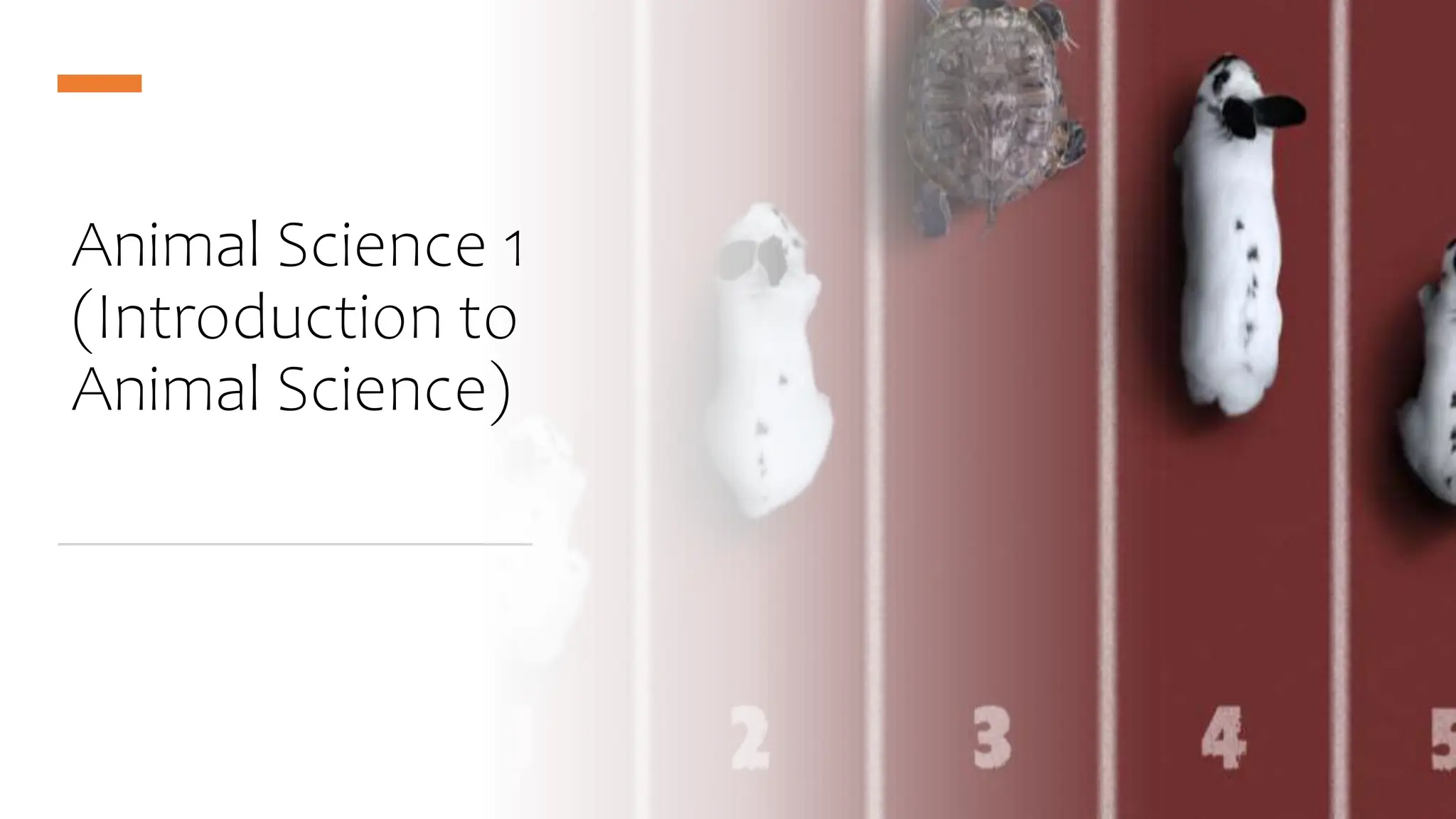 Animal-Science-1-1.pptx