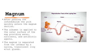 Animal-Science-1-1.pptx