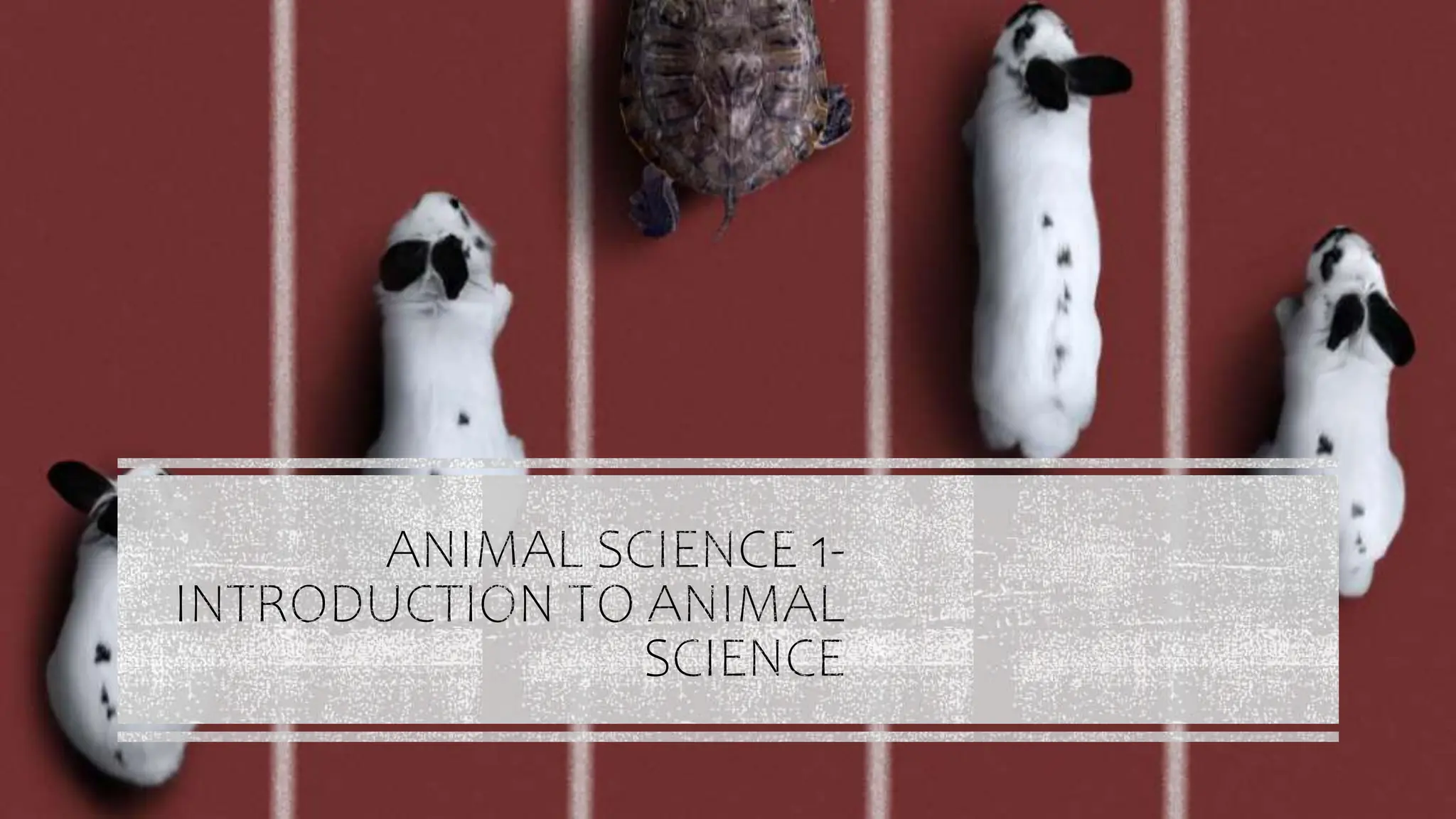 Animal-Science-1 (2).pptx