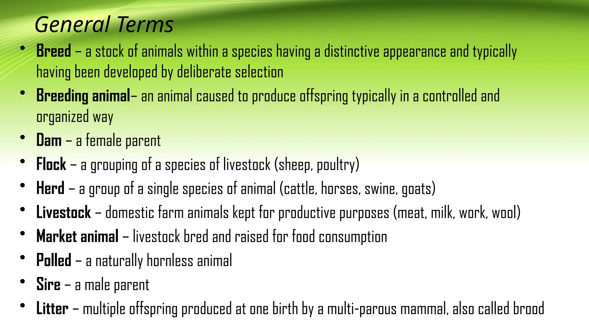 ANIMAL-SCIENCE-WEEK-2 terminologies in animal science | PPTX