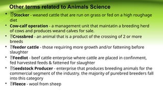 ANIMAL-SCIENCE-WEEK-2 terminologies in animal science | PPTX