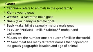 ANIMAL-SCIENCE-WEEK-2 terminologies in animal science | PPTX