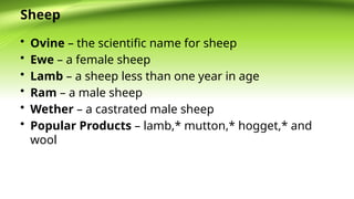 ANIMAL-SCIENCE-WEEK-2 terminologies in animal science | PPTX